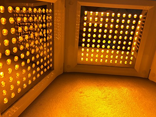 What is LED Light Therapy? - North Florida Aesthetics
